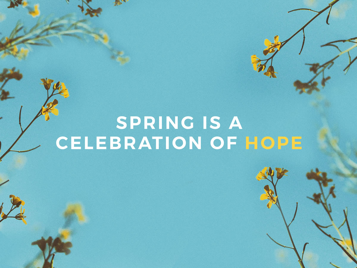 Spring Is A Celebration Of Hope | Faith Community Baptist Church (FCBC ...